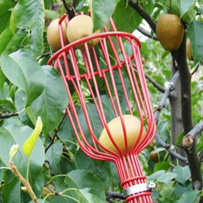 Basket Fruit Picker Head Convenient Fruit Catcher Fruit Picking Device ...