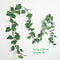 Green Silk Artificial Hanging Ivy Leaf Garland Plants Home Decor – Atom Oracle